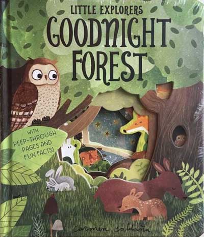 Buku LITTLE EXPLORERS :… - LIONTREE | Mizanstore